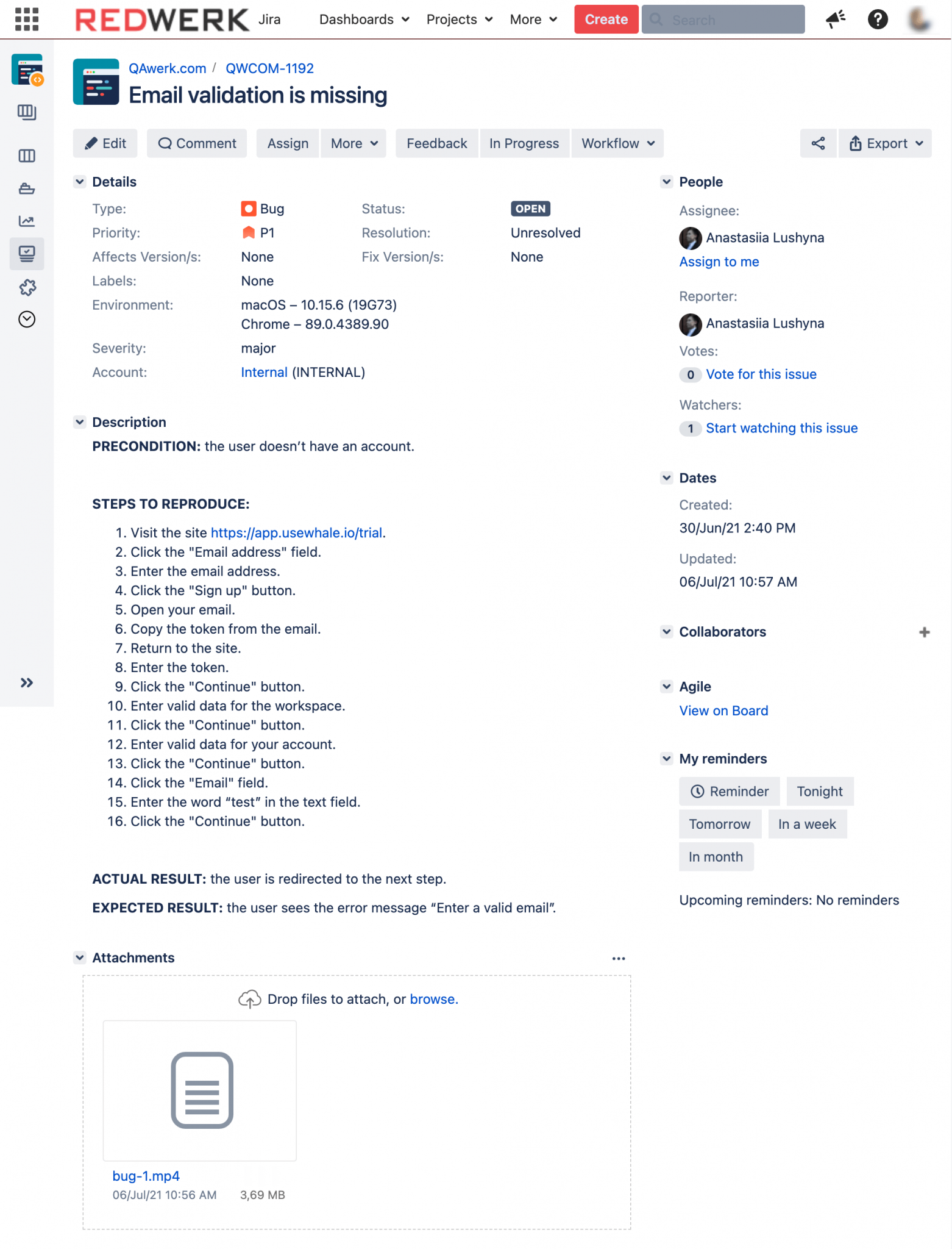 How to Write a Bug Report: Best Practices and Examples | QAwerk